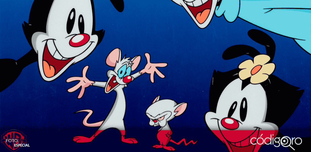 La caricatura Pinky y Cerebro regresarán con nuevos episodios - CódigoQro